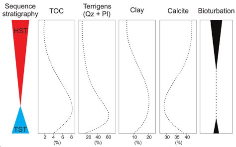 Relationship Between Composition And Transgressive Blue Regressive