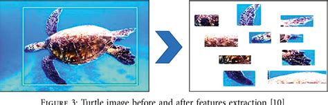 Figure 3 From Faster R Cnn Algorithm For Detection Of Plastic Garbage In The Ocean A Case For