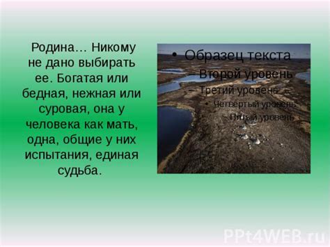 Ямал край где мы живем презентация к уроку Окружающий мир