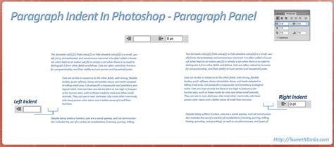 Paragraph Indent
