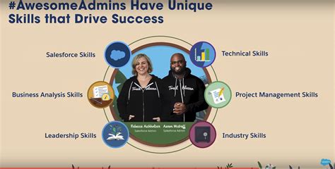 Salesforce Application Architect Career Snapshot