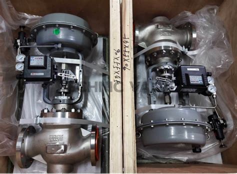 Globe Control Valve Technic Valve