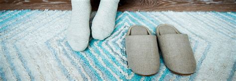 Theshoefactory Gr ΖΩΓΡΑΦΟΥ Γυναικεία παντόφλες χειμερινές