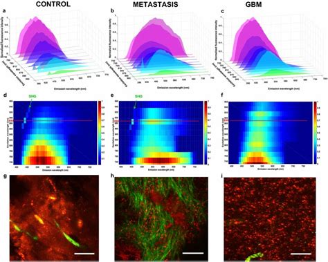 Analysis Of Emitted Fluorescence For The Different Groups A C