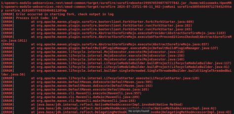 Using Java 11 With Webservicesrest Development Openmrs Talk