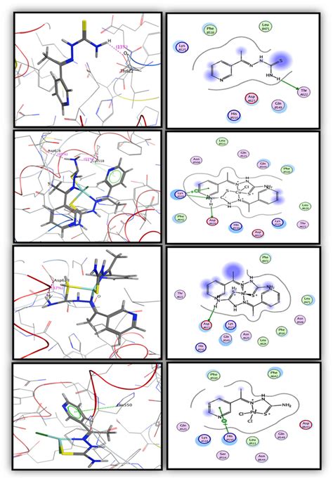 Cu Ii Pd Ii And Ni Ii Complexes From 3 Acetylpyridine And Download Scientific Diagram