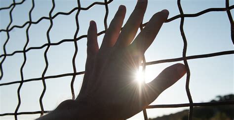 AZ Data Suggest Changes For Sex Offense Policies ACSOL