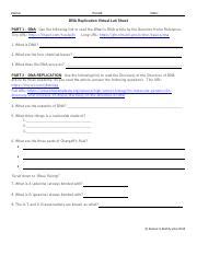DNA Replication Virtual Lab Sheet Pdf Name Period Date DNA Replication Virtual Lab Sheet