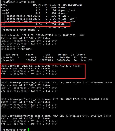 linux空磁盘挂载到指定目录操作步骤 NicoKie 博客园