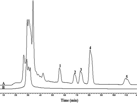 Hplc Dad Chromatograms Of The Pahs After Extraction Using The Proposed Download Scientific