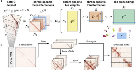 Ultrafast And Interpretable Single Cell 3d Genome Analysis With Fast