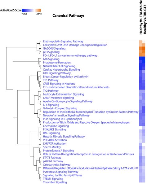 Figure 3 From Lung Transcriptome Of Nonhuman Primates Exposed To Total And Partial Body