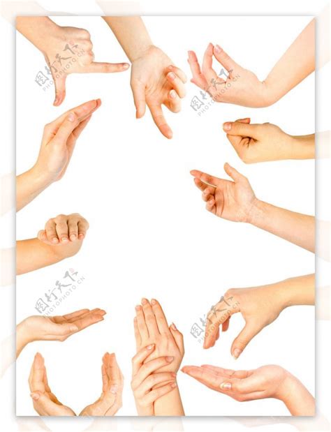 手势图片素材 编号10120812 图行天下