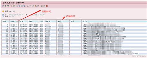 sap 请求传输日志 sap传输请求记录查询 csdn博客