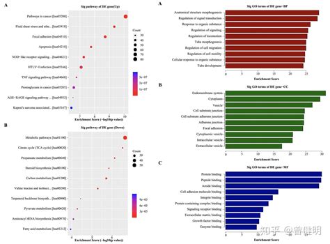 药物处理细胞系前后转录组数据该如何分析 知乎