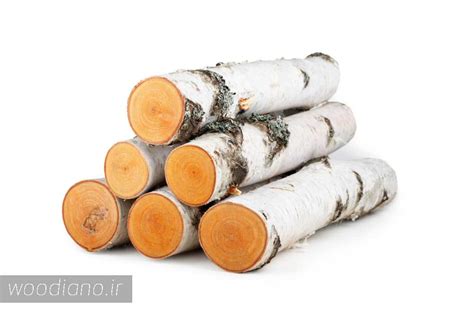 چوب توس چیست؟ و چه کاربردهایی در صنعت چوب دارد؟ راهنمای کامل وودیانو