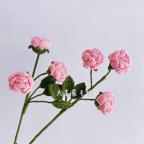 钩针编织大花朵花样大山谷图库