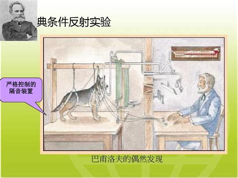 找出三则广告 其中一则基于认知学习 一则基于操作性条件反射 一则基于经典性条件反射。 word文档在线阅读与下载 免费文档