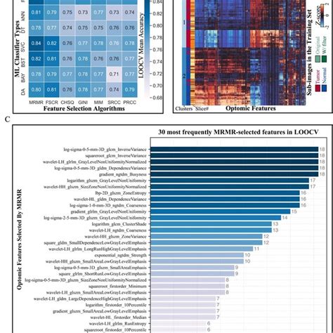 model hyperparameter optimization through loocv and feature selection