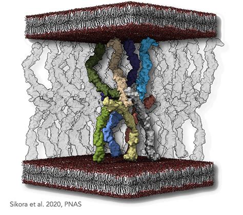 Research And Projects Frangakislab