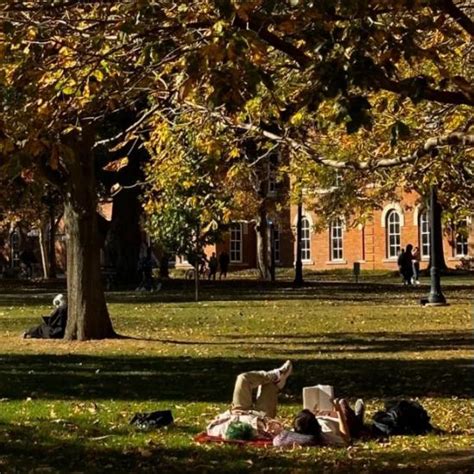 คนซอบอ s Post Lemon