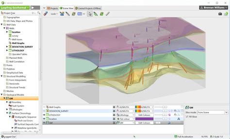 an initial geological model built from the lithological data imported