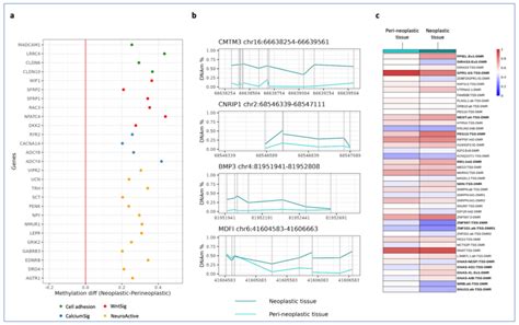 Genome Wide Methylation Analysis Of Neoplastic Tissue Compared With