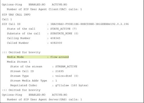 Code Snippets Understanding Session Border Controllers Comprehensive Guide To Designing