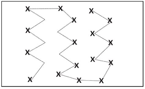 How To Collect A Nematode Sample