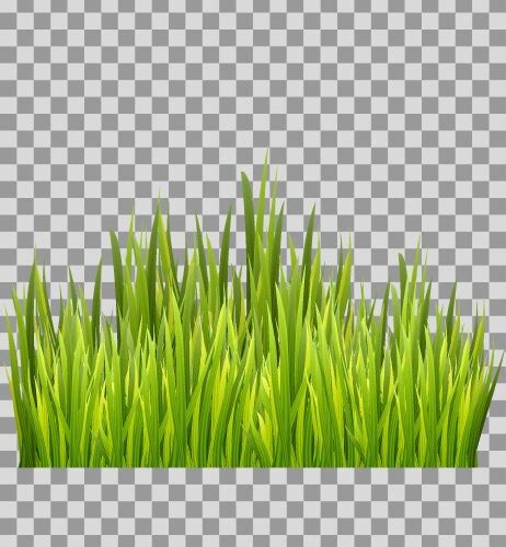 Grass Bottom Vector Images Over 710