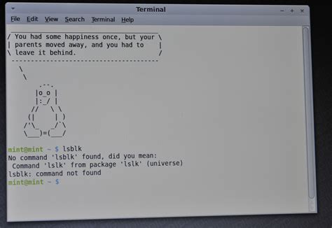 Can Not Boot My Laptop