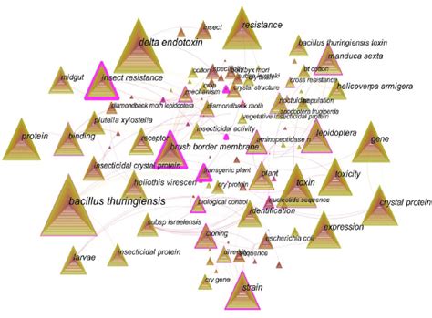 Keyword Co Occurrence Map Download Scientific Diagram