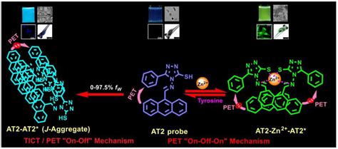 Chemosensors Free Full Text An Aiee Active Anthracene Based Nanoprobe For Zn2 And Tyrosine
