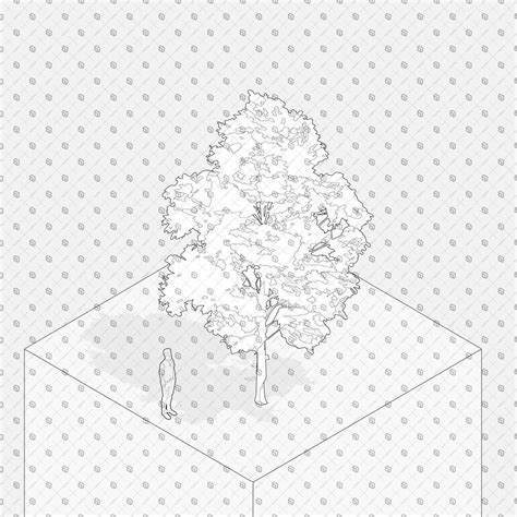 Axonometric Cad Trees With Shadows Toffu Co
