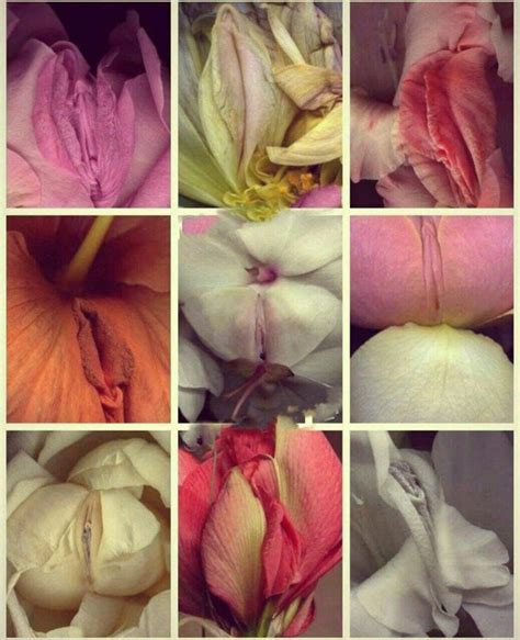 معجزه والیبال ساحلی خانمها