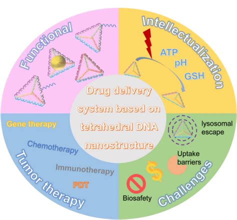 Design Application And Challenges Of Drug Delivery System Based On
