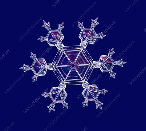 Snowflake Light Micrograph Stock Image C055 0610 Science Photo Library