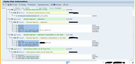 cannot load query could not instantiate the d sap community
