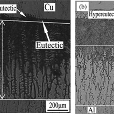 Schematic Diagram Of The Solidification Process In The Transition Download Scientific Diagram