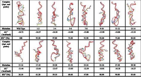 Figure S5 Molecular Simulations Based Sequence Optimization Of