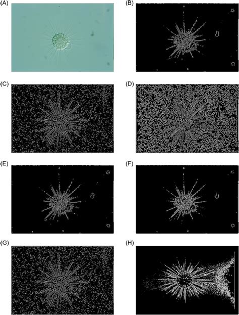 An Example Of Seven Edge Detection Results Using EMDS 5 Images Download Scientific Diagram