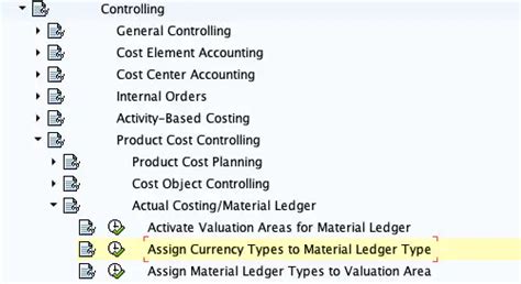 Assigning Currency Types To Sap Material Ledger Type