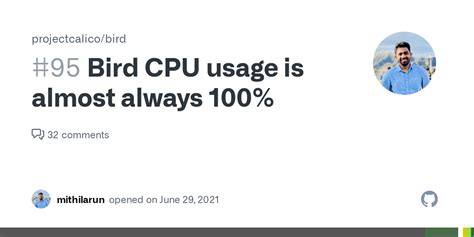 Bird Cpu Usage Is Almost Always 100 · Issue 95 · Projectcalicobird · Github