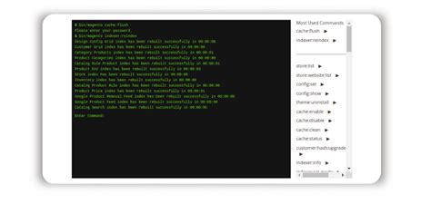 Magento Command Line Interface Run CLI From Admin