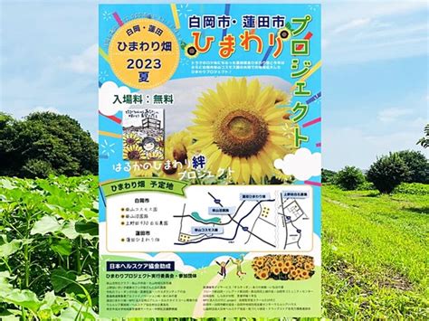 蓮田ひまわり畑2023 紫雨林のブログ3