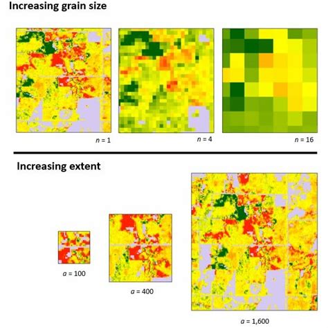 Two Components Of Spatial Scale A Grain And B Extent The Number