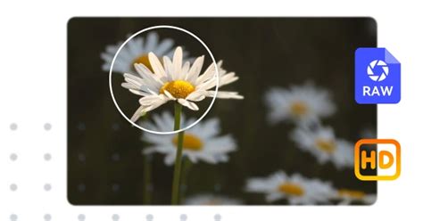 Nef To  Converter Convert Nef Files To  Online