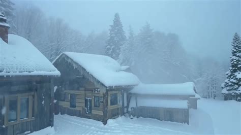 4k大雪森林里的小木屋实拍视频素材视频特效素材 千库网