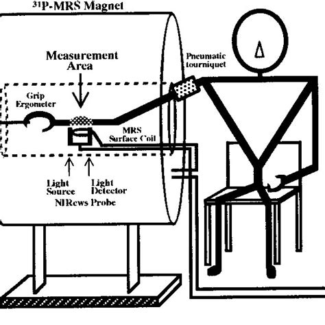 Experimental Setup Subject Is Seated With The Exercising Arm Extended Download Scientific