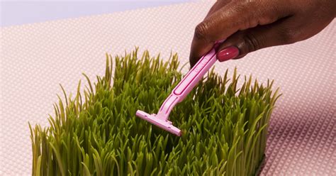 How To Shave Down There Pubic Hair Shaving Tips Popsugar Beauty